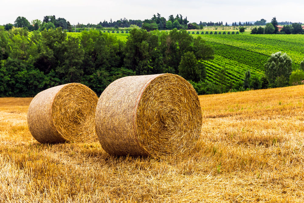 CAP: New delivery model, climate and spending | Euractiv