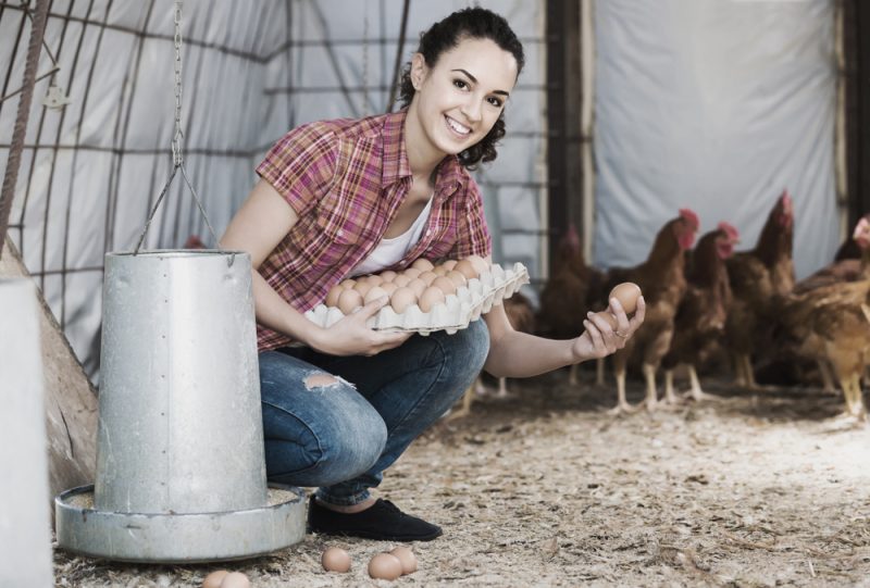 How the CAP 'saved' two women farmers from southern Italy | Euractiv
