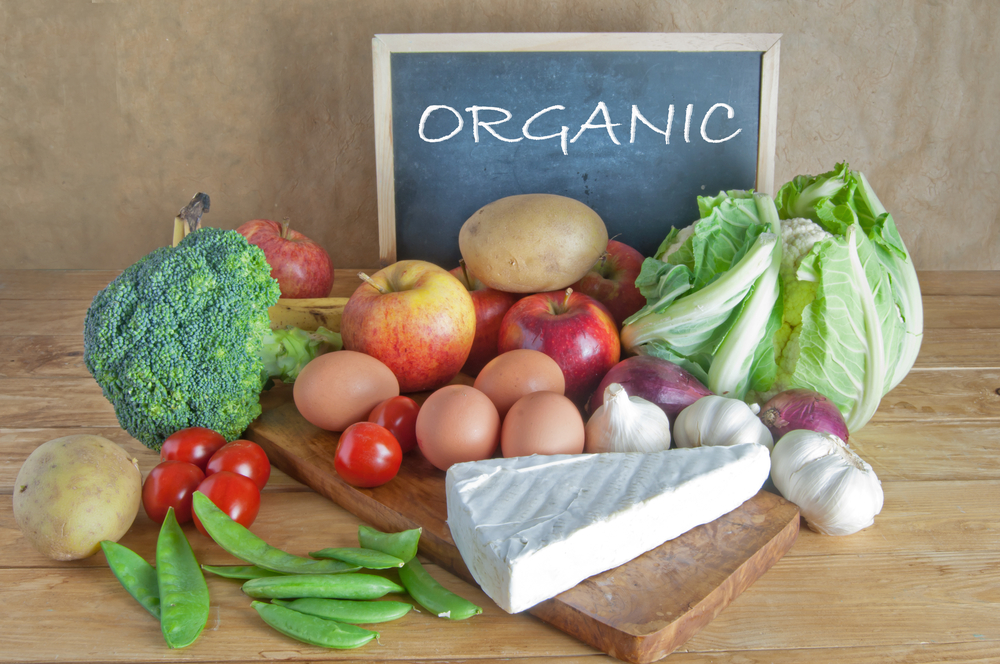 Organic farming improved but still flaws with traceability, EU auditors ...