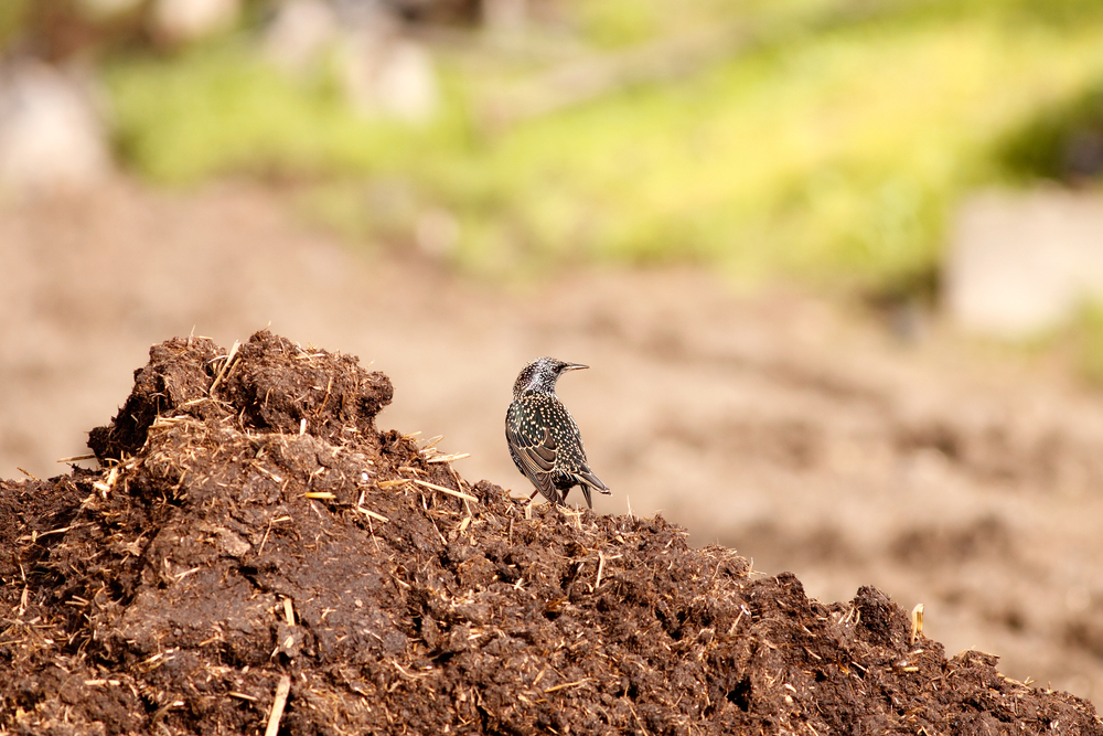 Private sector is part of the solution in bioeconomy, experts say ...