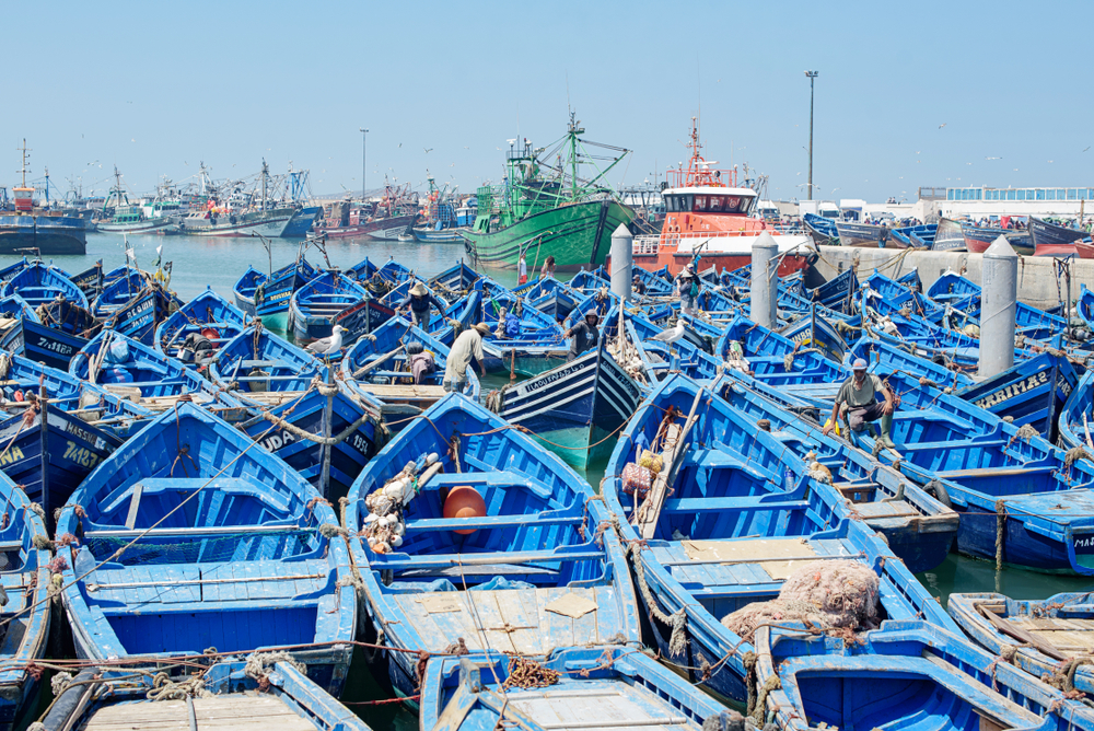 Overfishing lurks in flagship EU subsidy scheme | Euractiv