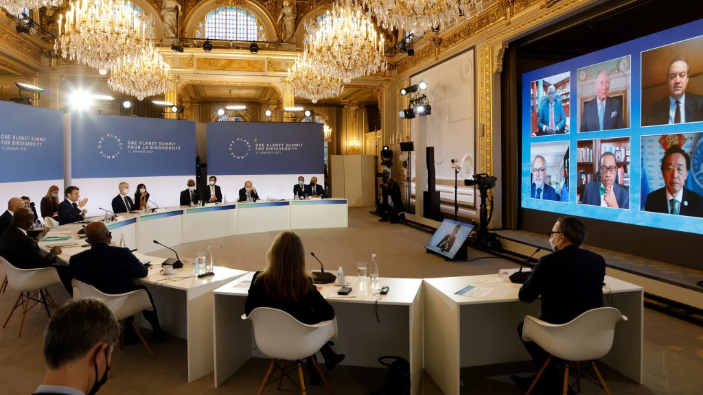 One Planet Summit: no climate fix without biodiversity | Euractiv