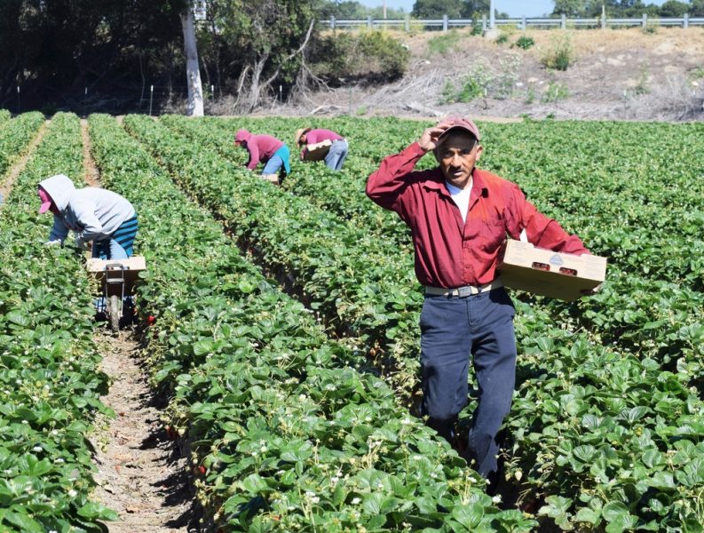 ‘Social’ CAP pillar kicks off amid concerns over sanctions | Euractiv