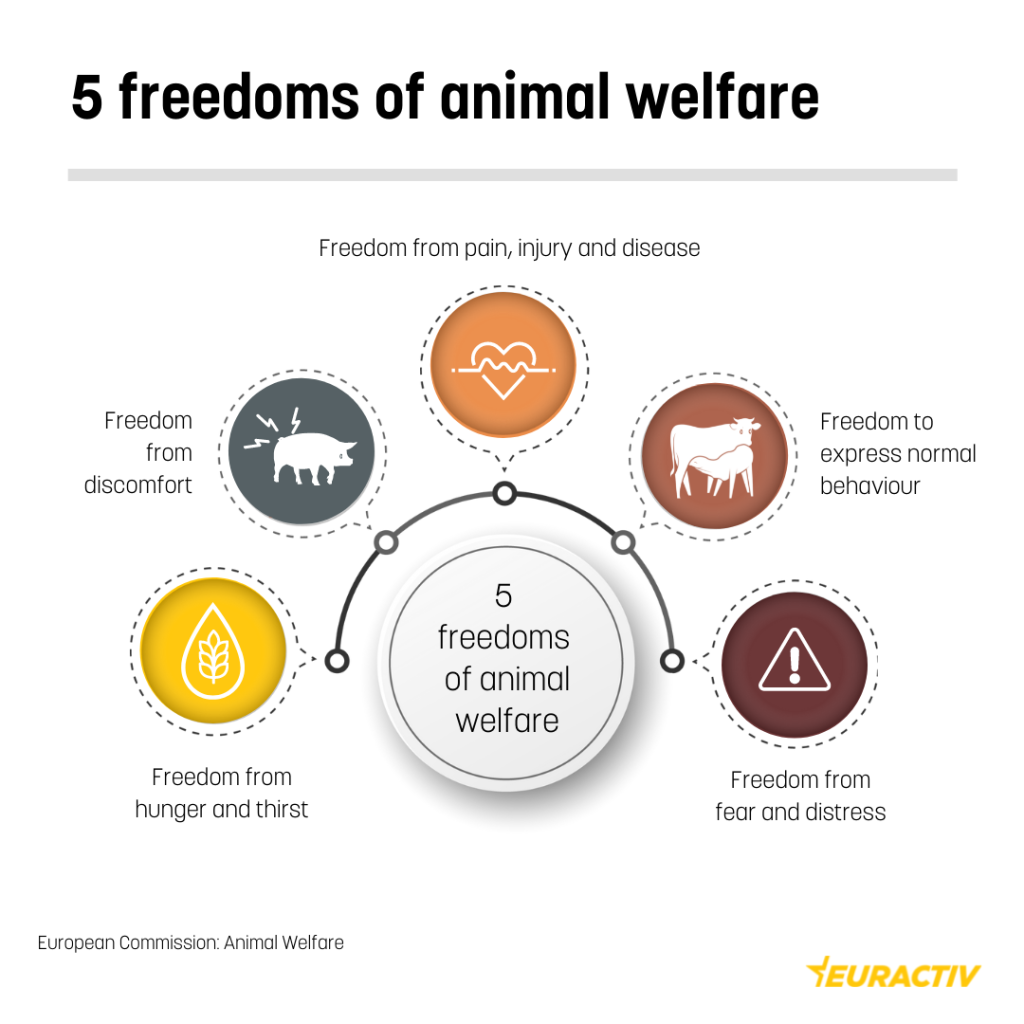 Animal welfare in the EU | Euractiv