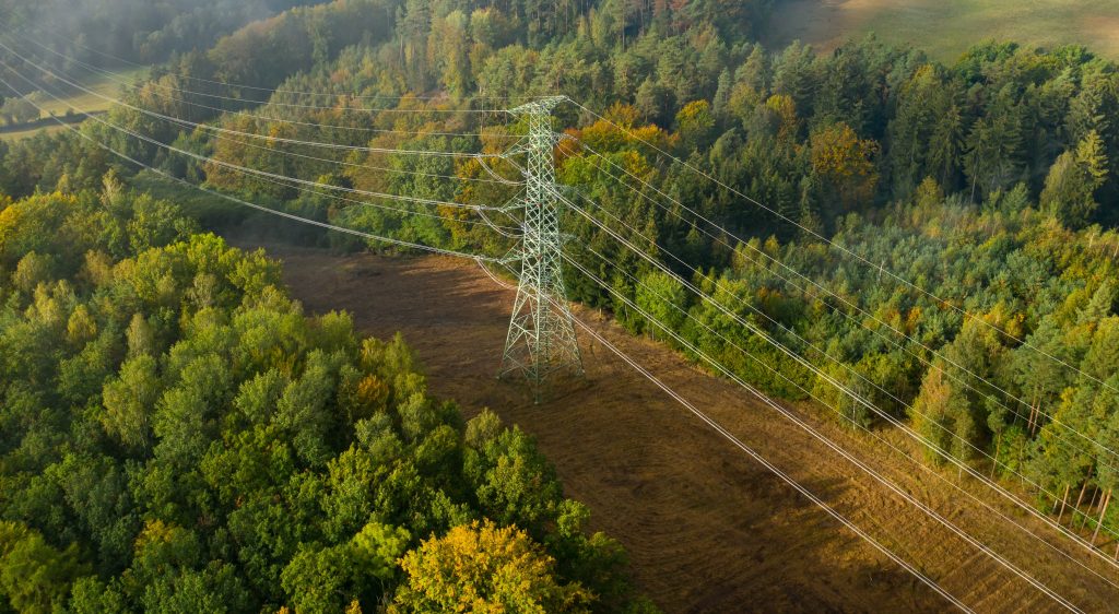 German electricity grid upgrade 'will be expensive', experts warn ...