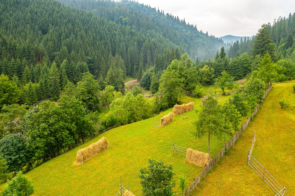 EU Commission approves Romania’s green scheme | Euractiv