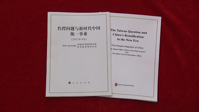 Wang Hongjian Archives | Euractiv