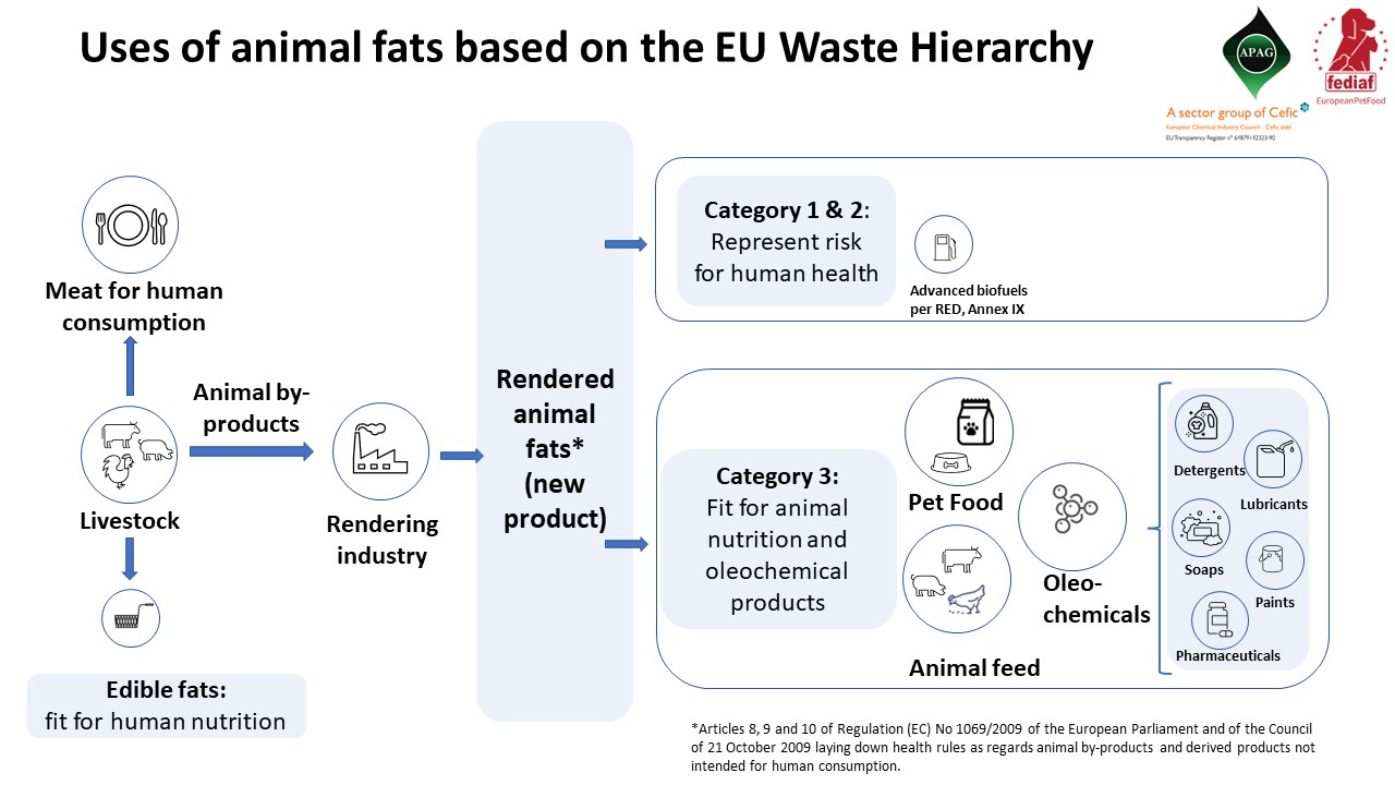 Animal fats dilemma: How to ensure a balanced use of a precious ...