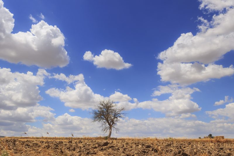 Italy's water crisis exacerbated by leaky pipes, data shows | Euractiv