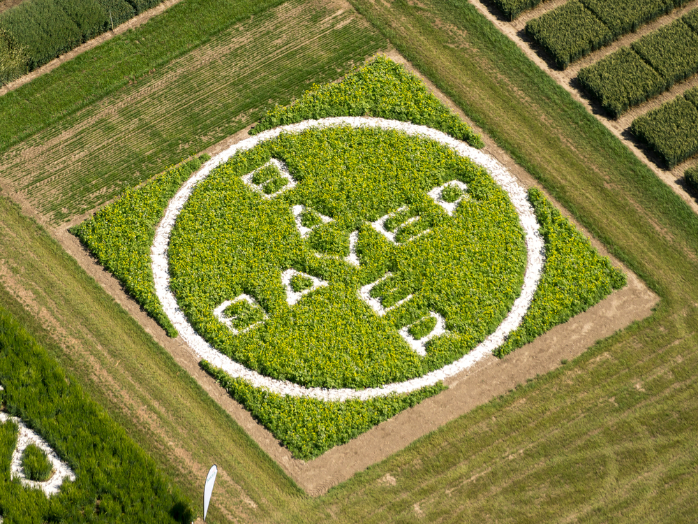 Rumours of pharma giant Bayer facing break-up swirl | Euractiv