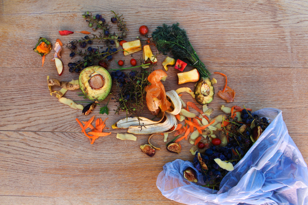 Commission tables proposal for 30% cut in EU food waste by 2030 | Euractiv