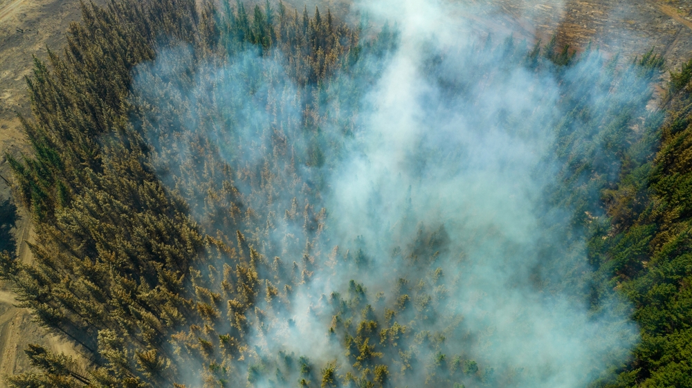 EU lawmakers want better prevention against forest fires | Euractiv