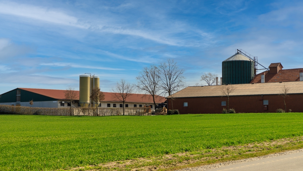 Ten German farms went bust each day last decade | Euractiv