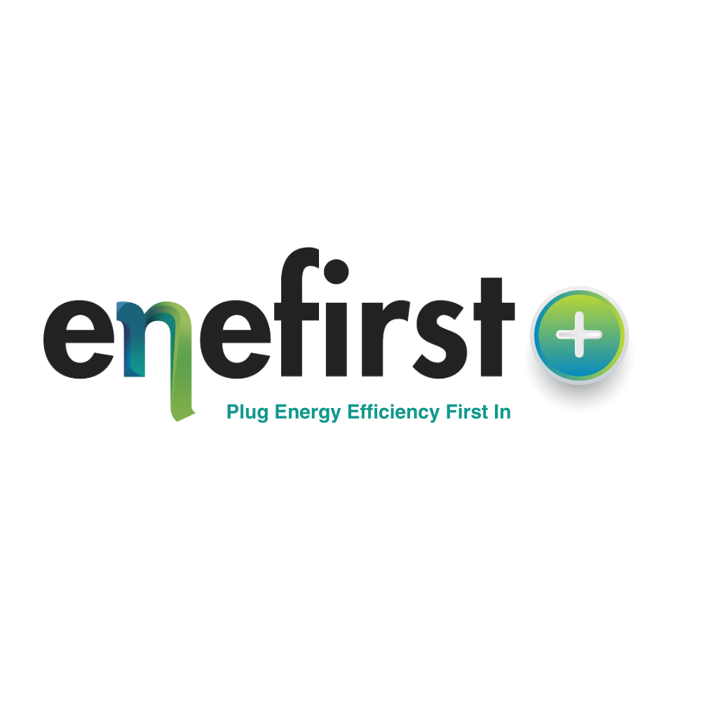 Euractiv European Public Projects | Euractiv