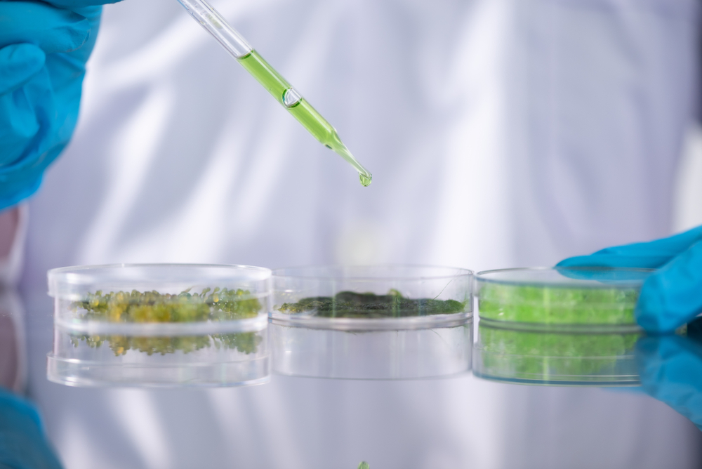 The Bio-Revolution, European biosolutions boosting the EU Green Deal ...