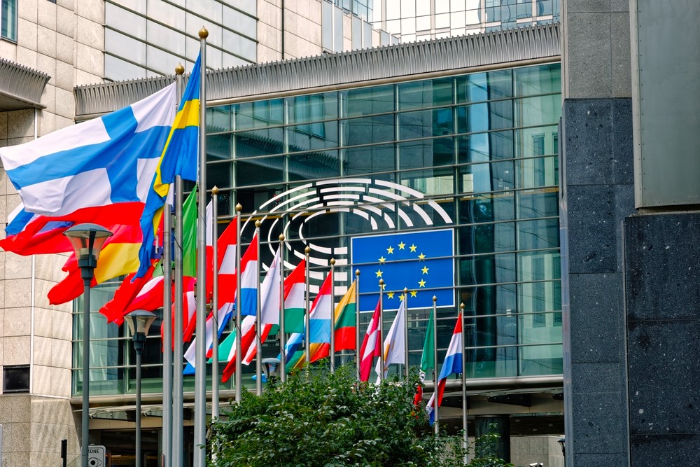 Pro-EU parties should 'Europeanise' election campaigns to combat far ...