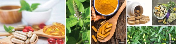 Showcasing the Excellence of SHEFEXIL Products from India: A true ...