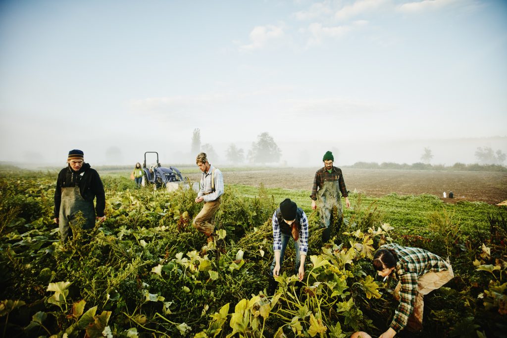 France boosts efforts to help young farmers access land, as speculation ...