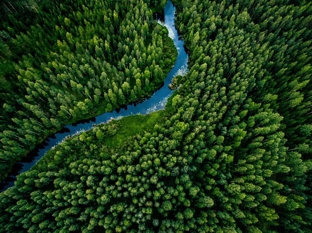 Europe’s forests at a crossroads. Can economic growth and conservation ...