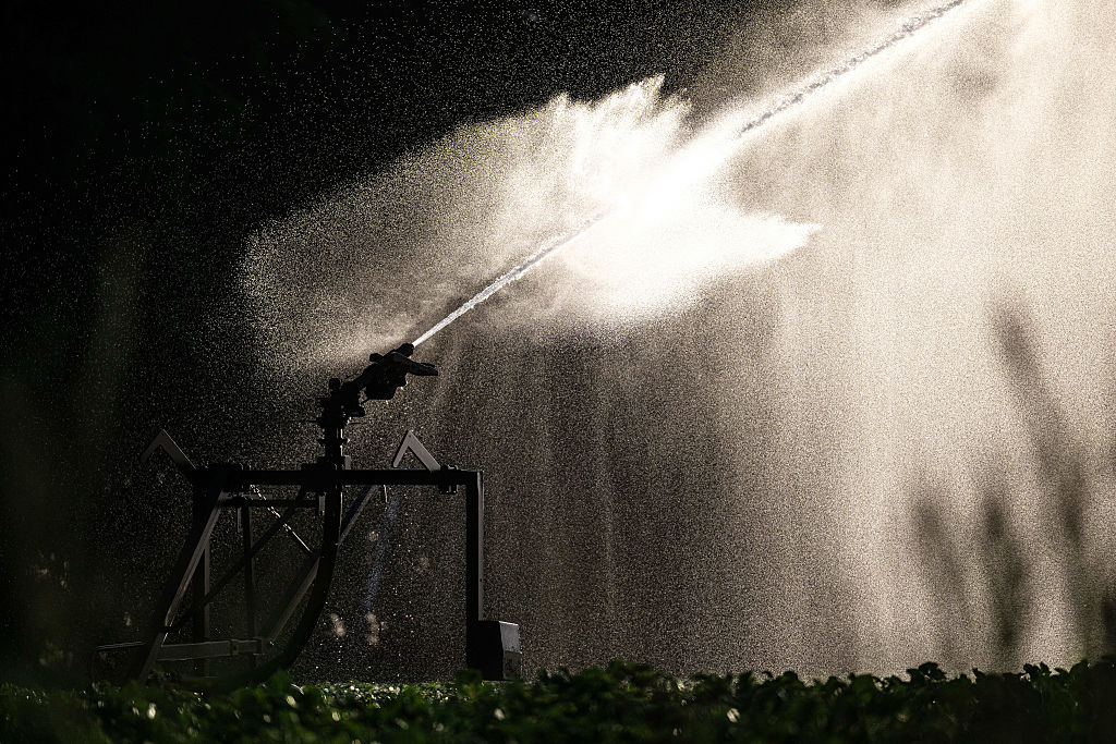 EU to reward farmers who cut water use, document says | Euractiv