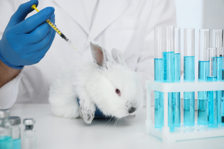 Phasing out animal testing in Europe, a new roadmap for regulatory ...