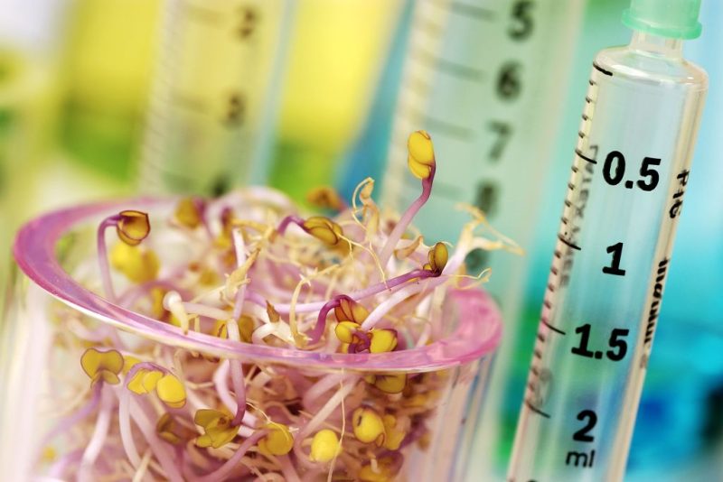 EU gene-editing push meets thorny wine market rules | Euractiv