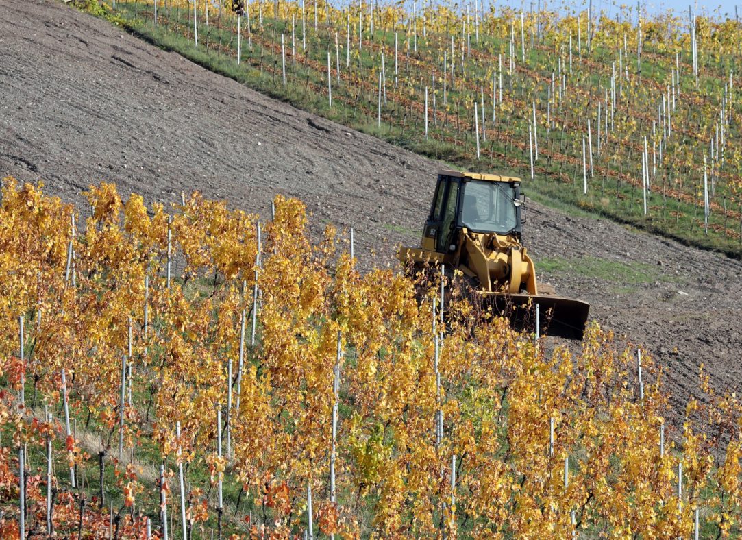 No EU plans to add surplus wine to advanced biofuel feedstock list ...