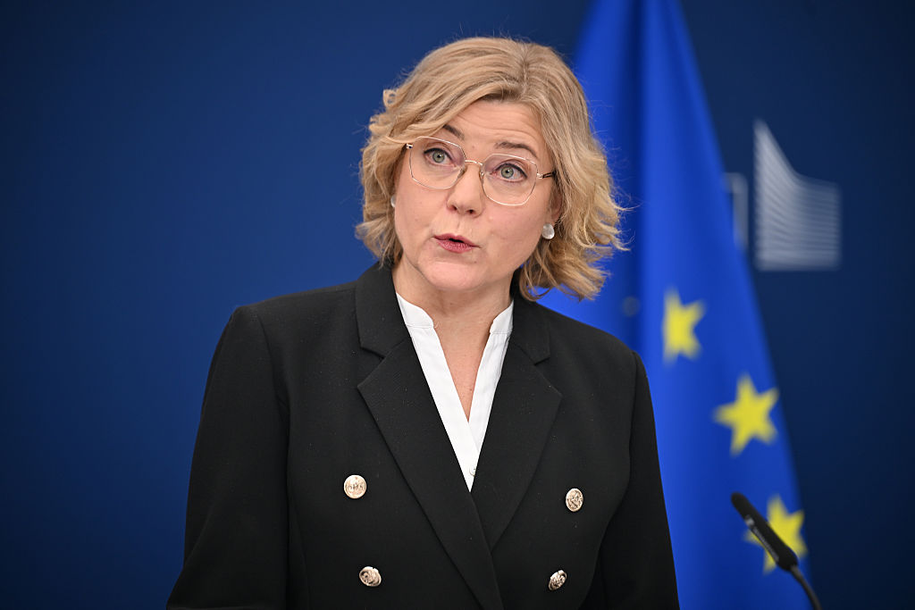Commission raids Temu office over foreign subsidy concerns | Euractiv