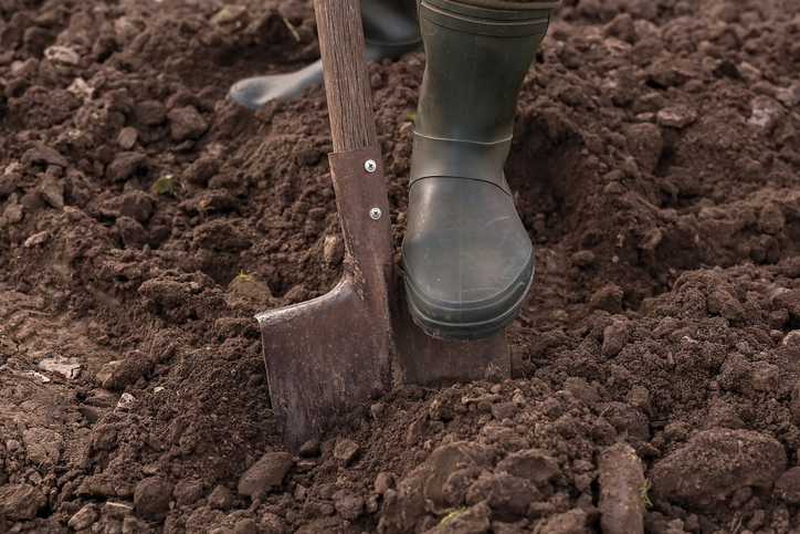 The EU Forced Labour Regulation – it might make a difference | Euractiv