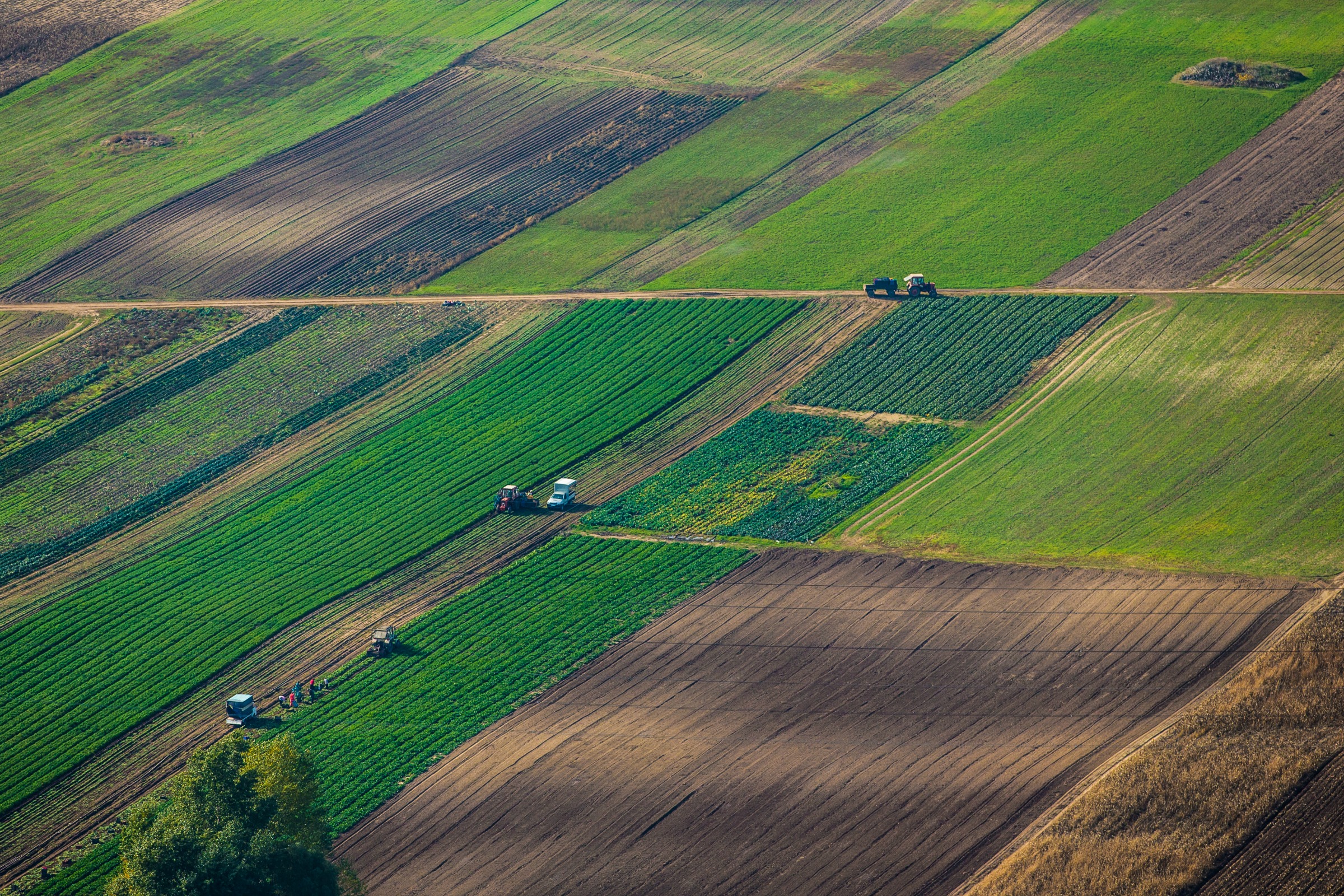 Land Grabbing Still A Huge Problem In Eastern Europe Euractiv