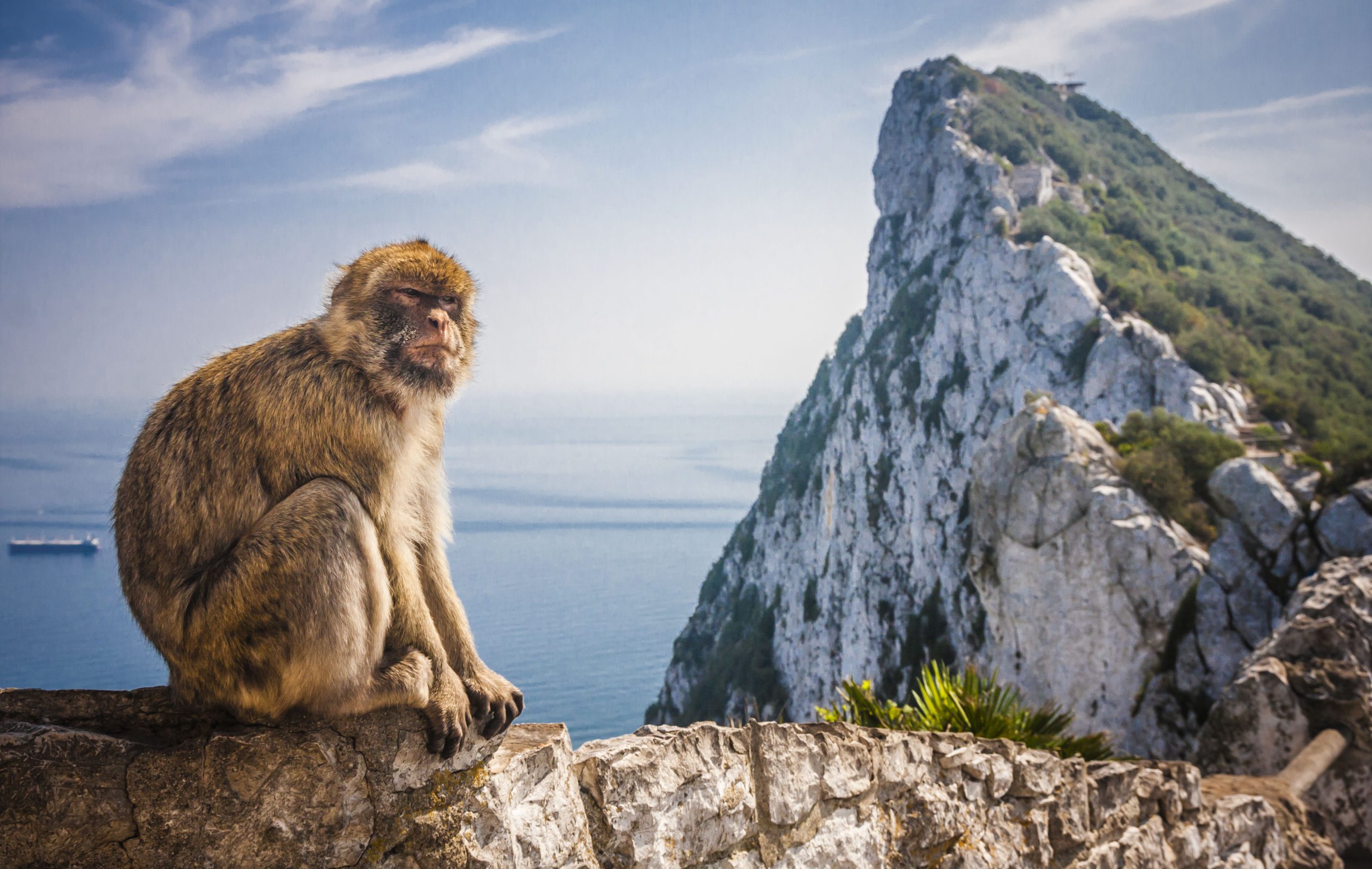 Spain steps up efforts to share control of Gibraltar after Brexit ...