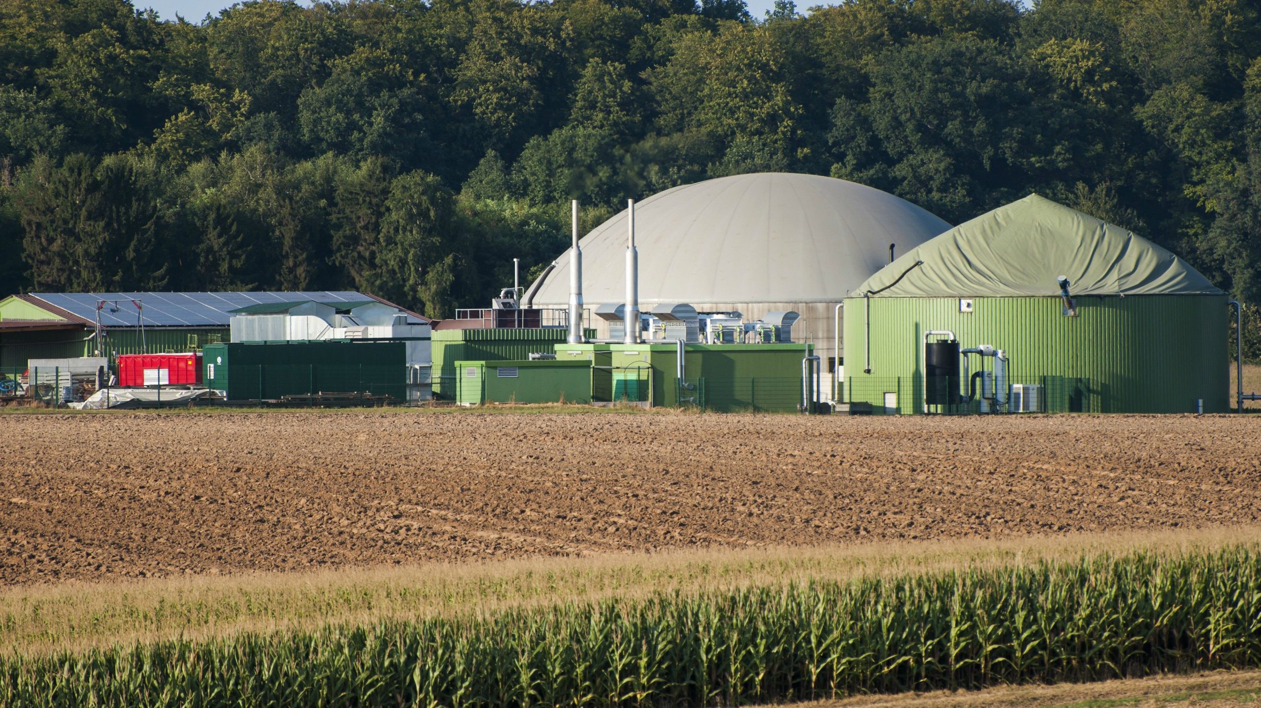 The future of gas is not fossil but green | Euractiv