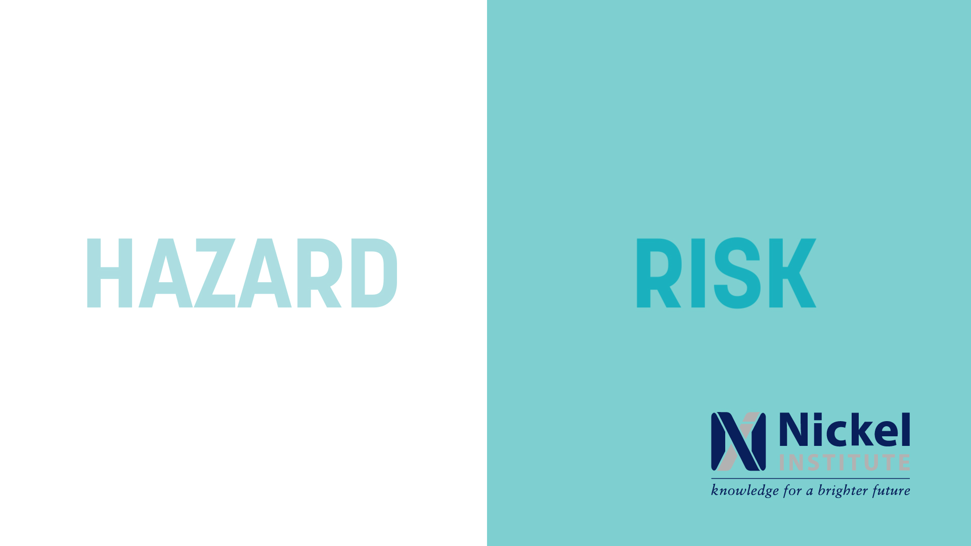 Explaining risk versus hazard | Euractiv