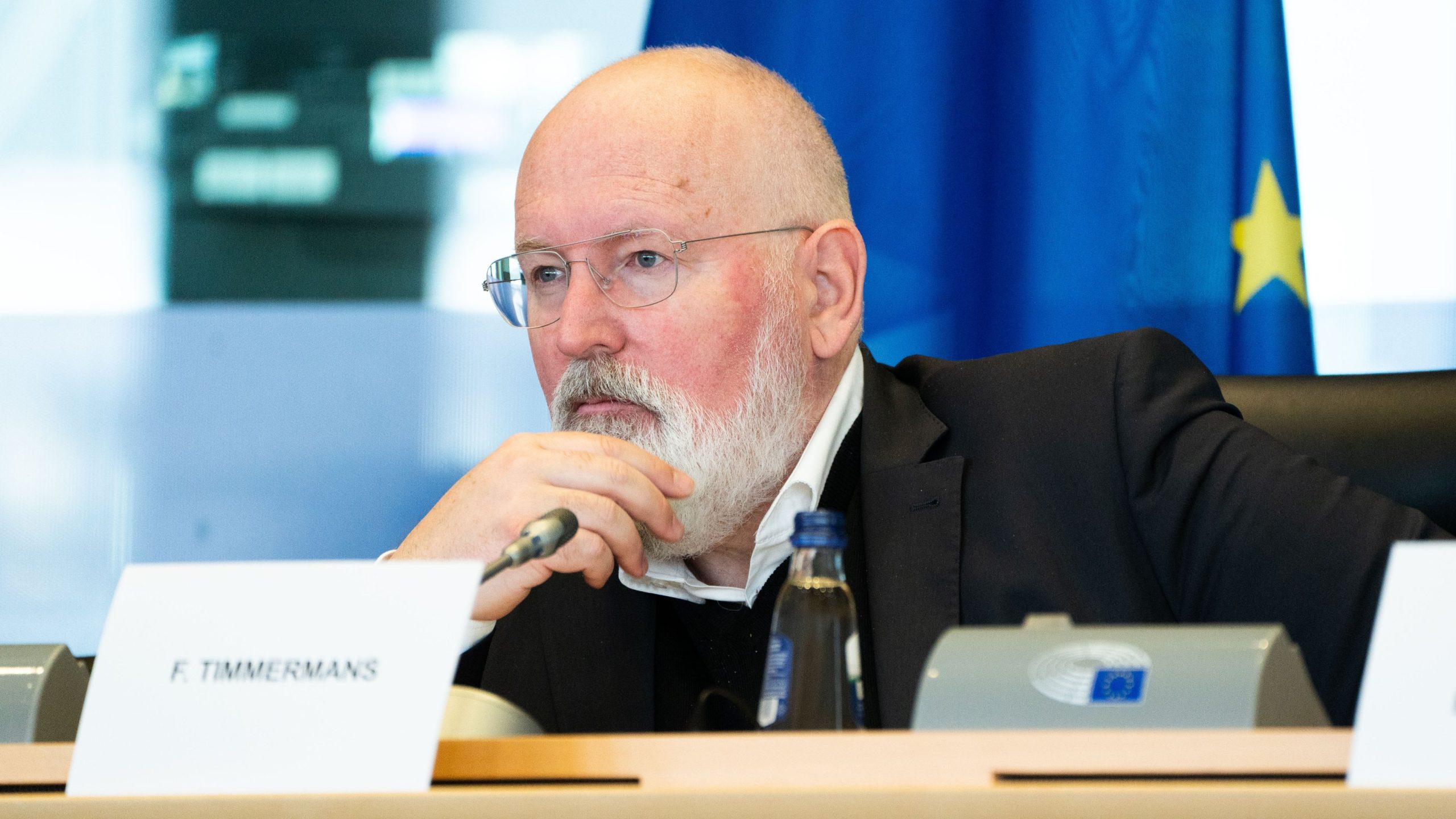 Hydrogen will be ‘pivotal element’ in future economy, says EU climate ...