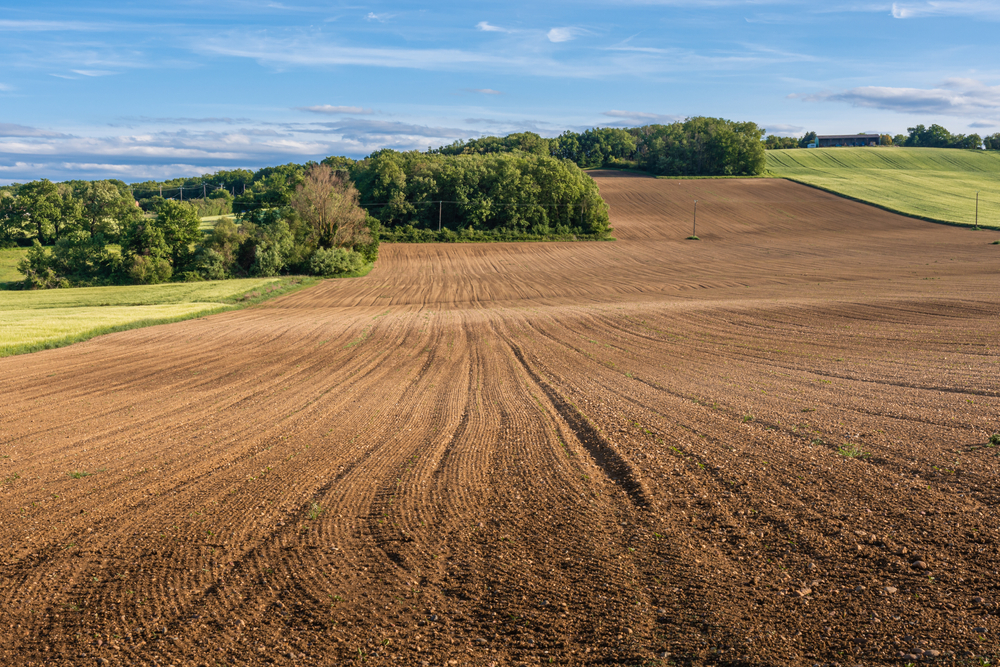 CAP talks could be impacted by recent French fallow land derogation ...