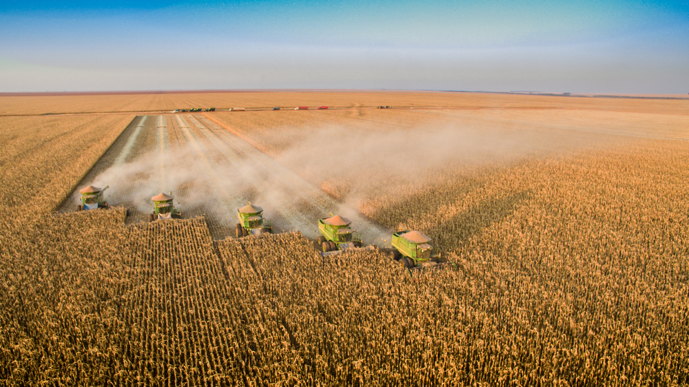 Bioenergy chief: Still stuck in ‘food vs fuel’ debate, EU is missing ...