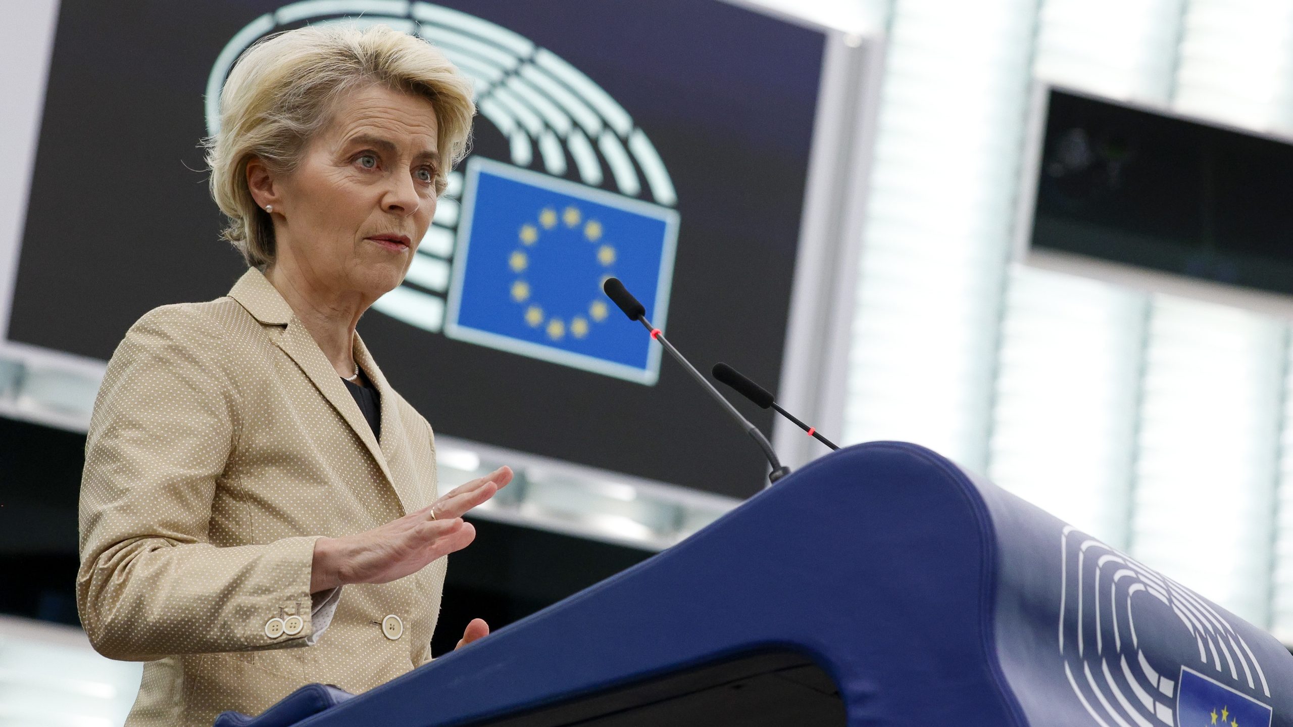 Commission President: EU Sovereignty Fund will be proposed in summer ...