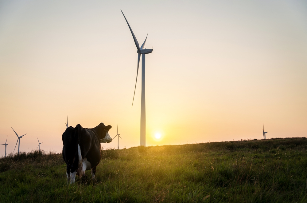 Carbon pricing for agriculture key to cutting emissions, say EU climate ...