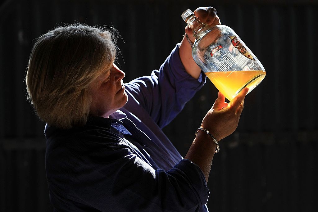EU cider definition becomes 'apple of discord' for Nordic countries ...