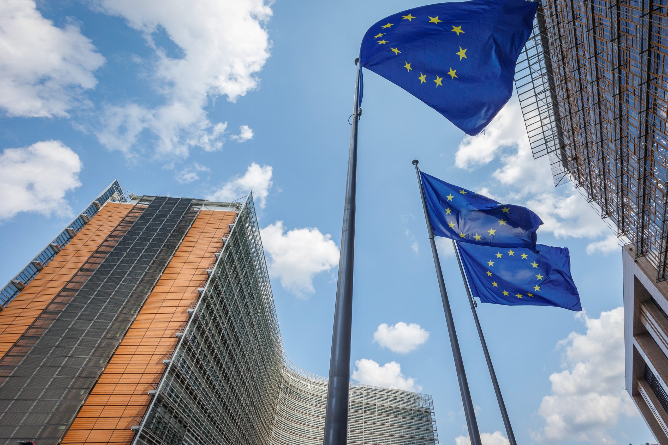 EU advisors push for integrating CO2 removal into EU carbon trading ...