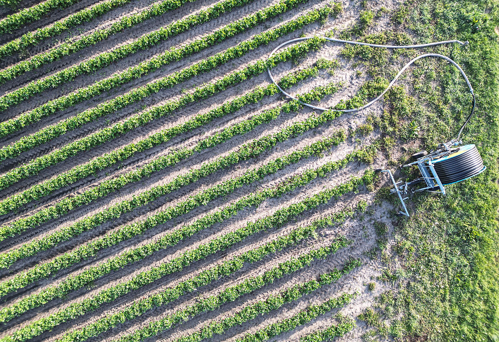 EU’s water plan falls short on farmer support | Euractiv
