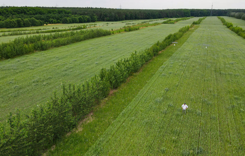 Brussels’ nature credits plan raises land grabbing concerns | Euractiv